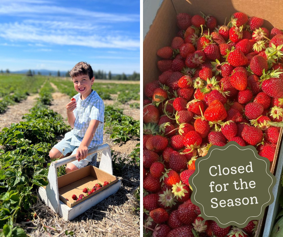 Visit Green Bluff – Knapp's U-Pick Farm