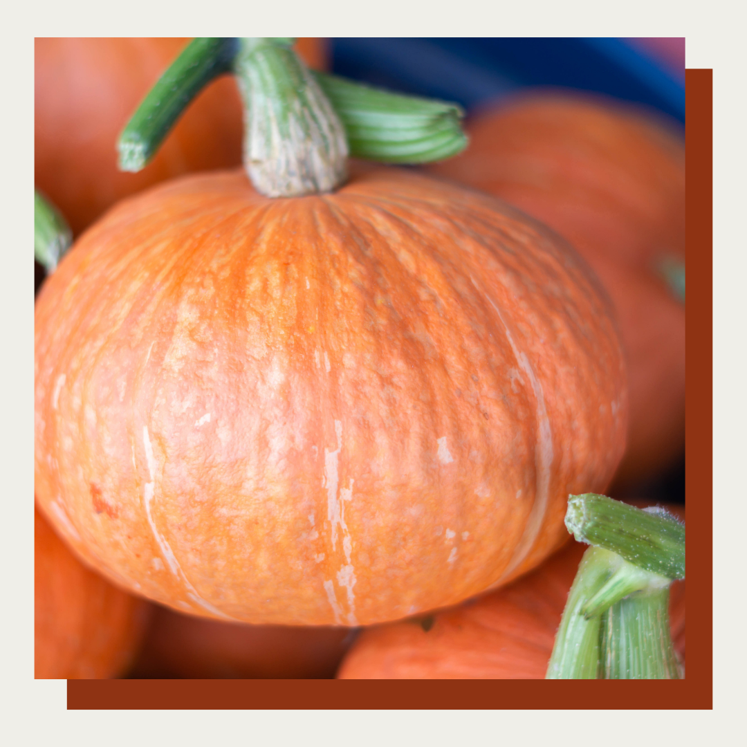 Sunshine Kabocha Squash (Set of 2) – Knapp's U-Pick Farm
